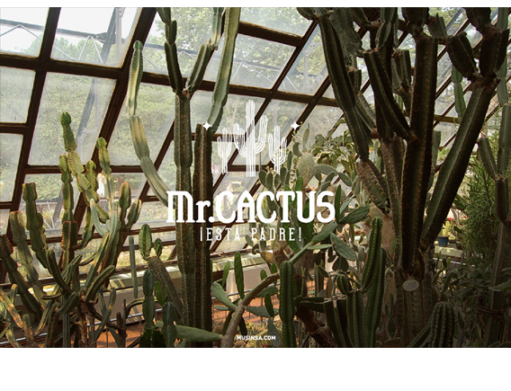 "mr.cactus"