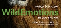 야생의 감성 (Wild Emotions)