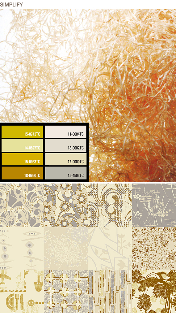 2007/08 Fall Winter Pattern Trend - 2